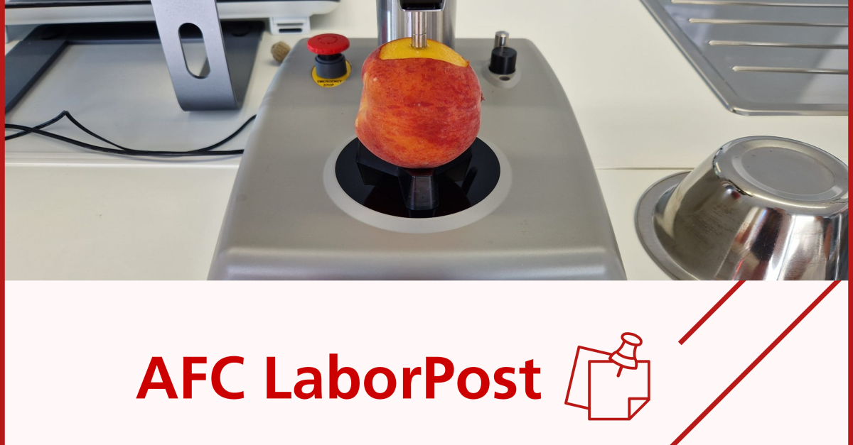 AFC Consulting Group | LaborPost – der kann Pelz tragen…?! AFC Consulting Group | LaborPost – der kann Pelz tragen…?!