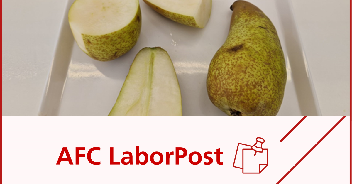 AFC Consulting Group | LaborPost – nichts in der Birne…?! AFC Consulting Group | LaborPost – nichts in der Birne…?!