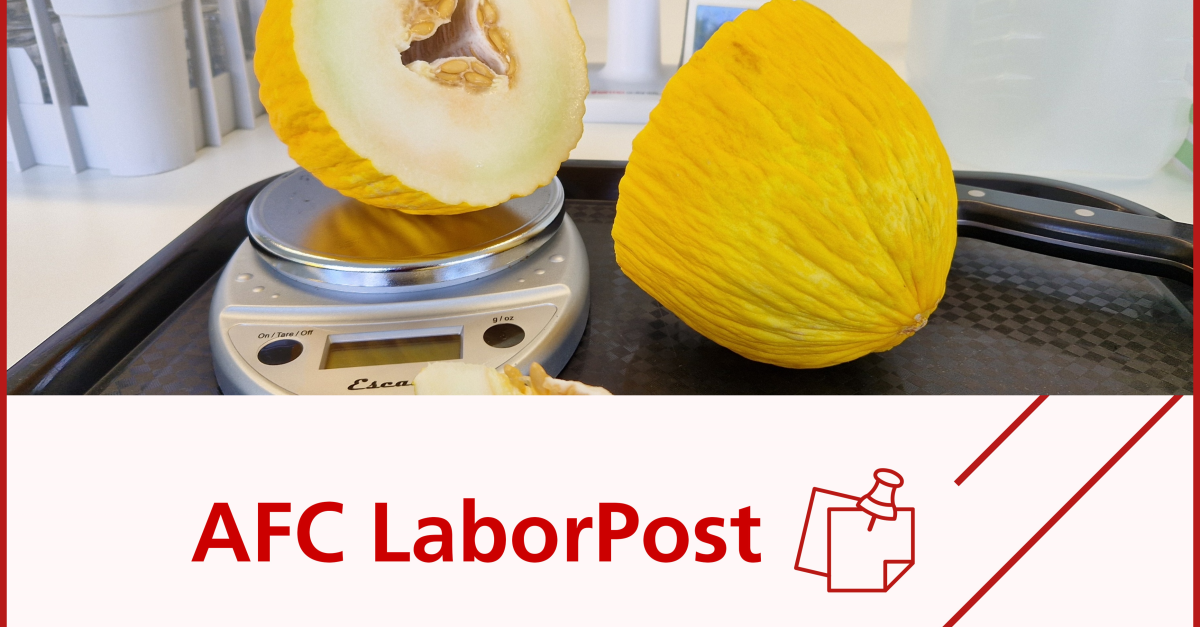 AFC Consulting Group | LaborPost – nie ohne Melone...?!